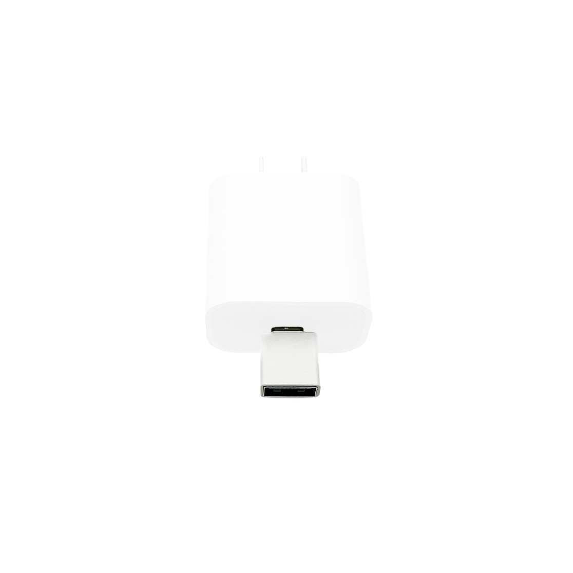 USB-C Male Adapter - Pinpoint